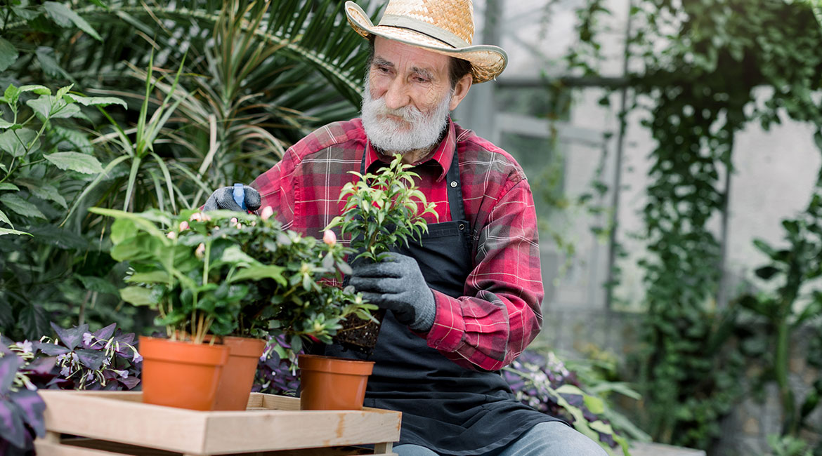 Awesome Grape - Turf Rabbit